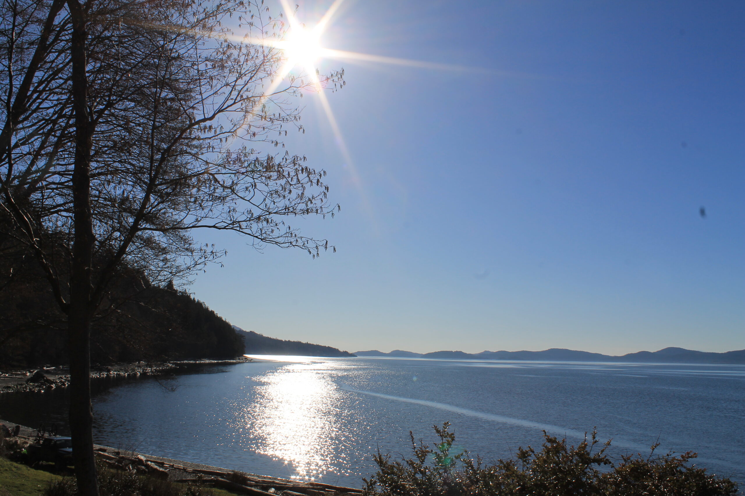 Shingle Beach – Know Before You Go - West Coast Camping