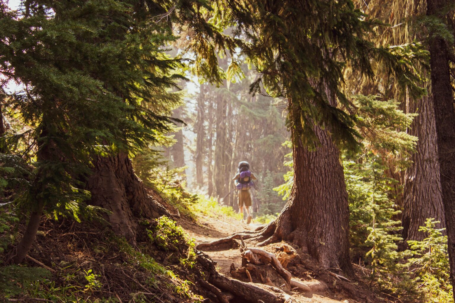 Shingle Beach, Texada Island Recreation Sites and Trails BC